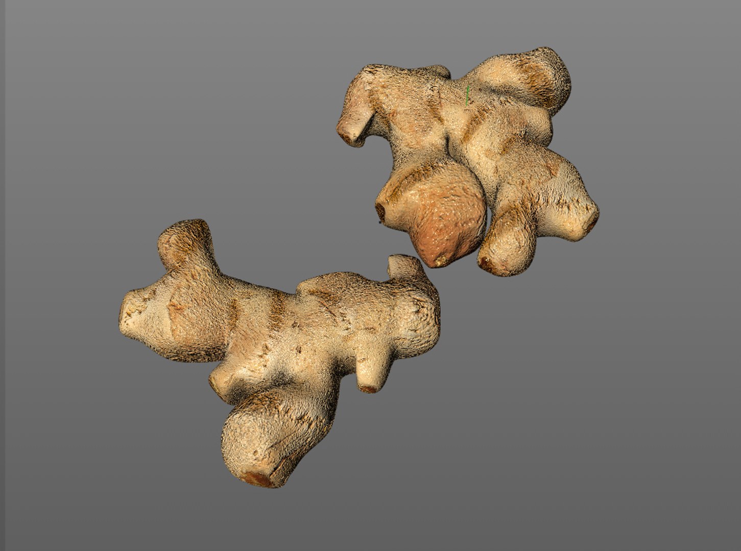 3D Ginger Model - TurboSquid 1544532