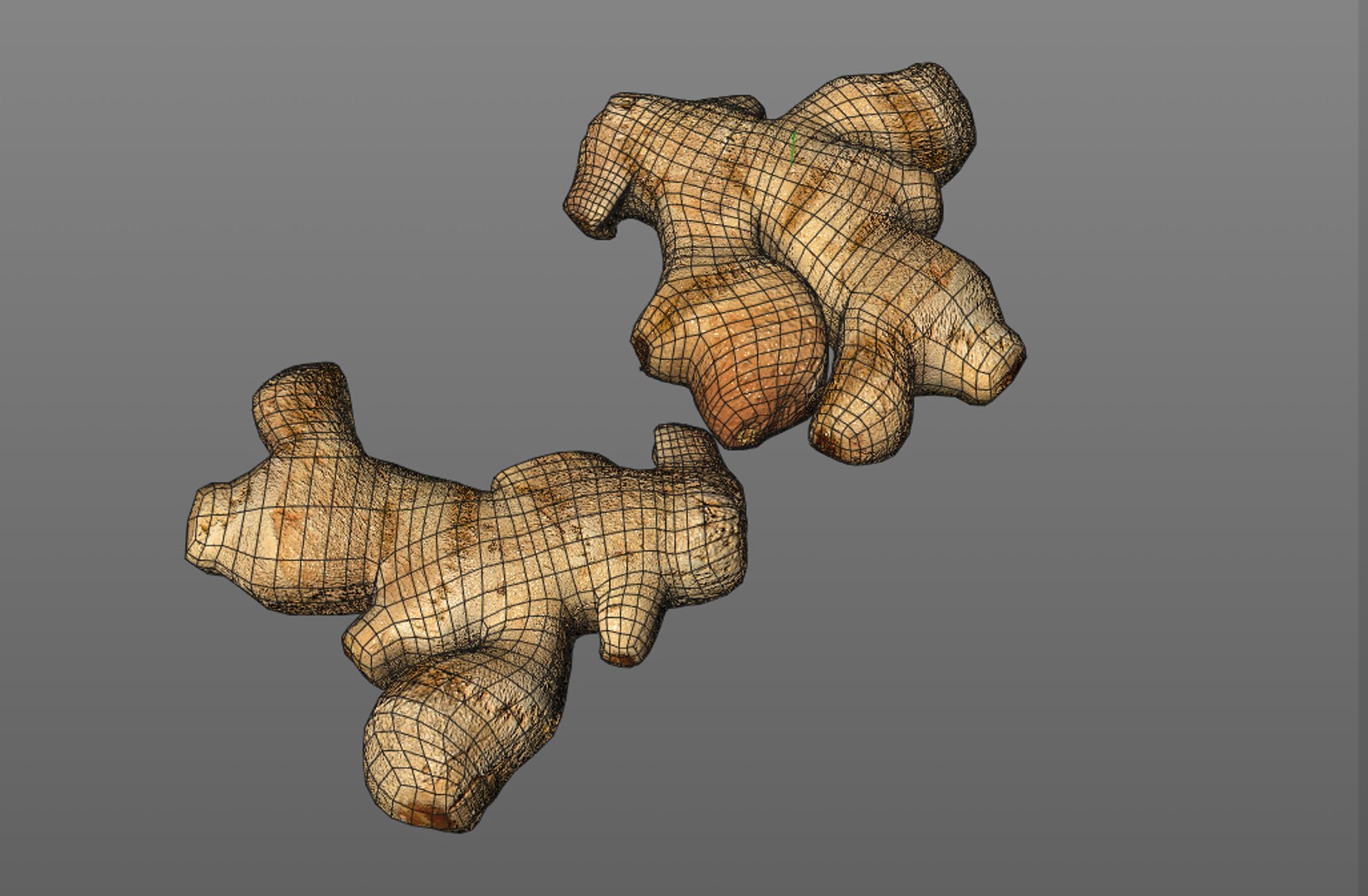 3D Ginger Model - TurboSquid 1544532