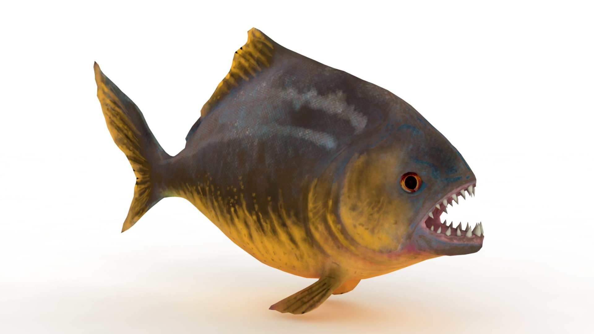 3D Piranha Fish Model - TurboSquid 2274596