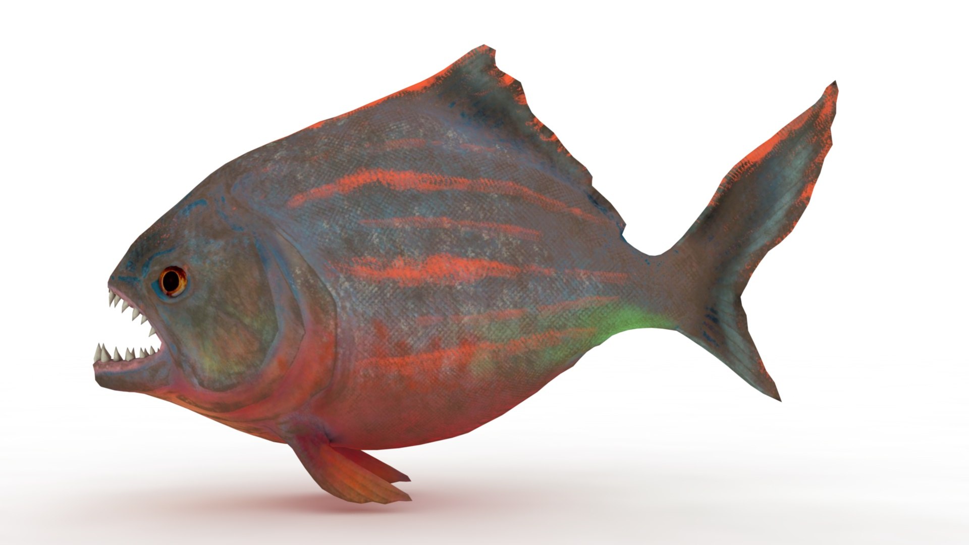 3D Piranha Fish Model - TurboSquid 2274596