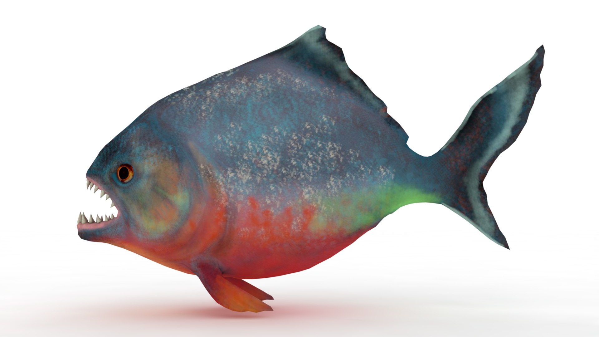 3D Piranha Fish Model - TurboSquid 2274596