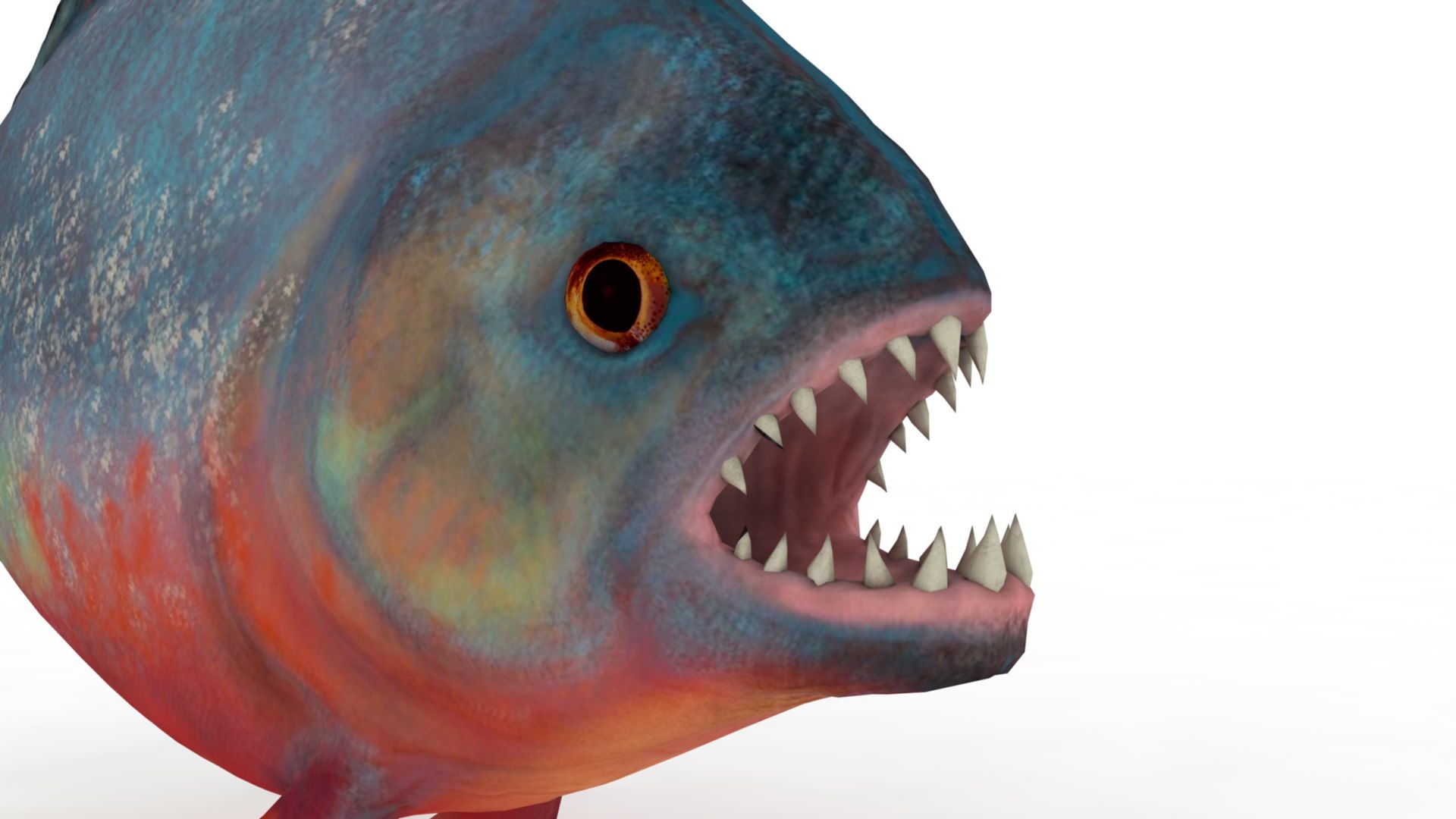 3D Piranha Fish Model - TurboSquid 2274596