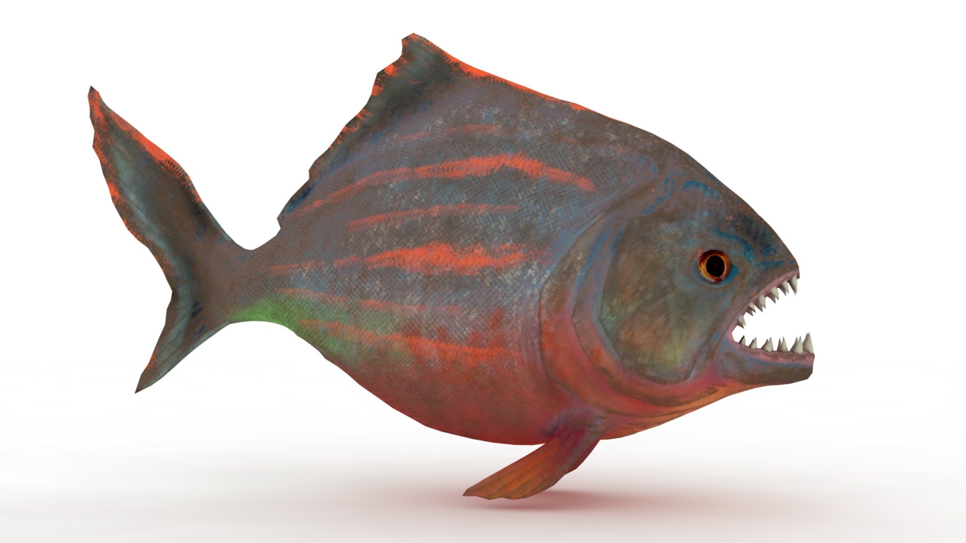 3D Piranha Fish Model - TurboSquid 2274596