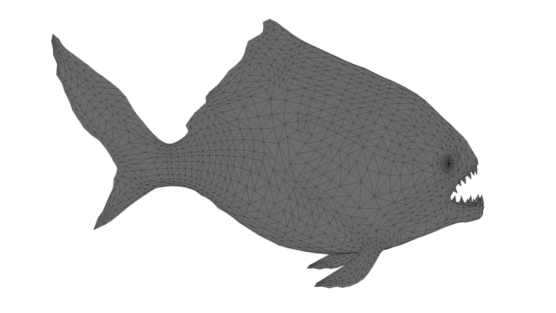 3D Piranha Fish Model - TurboSquid 2274596