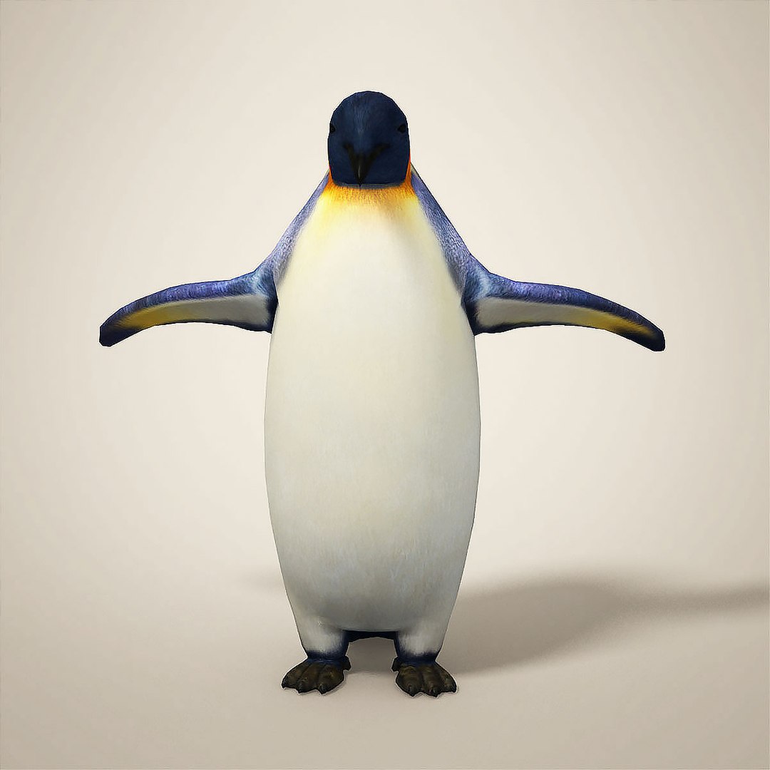 3D Penguin - TurboSquid 1236677