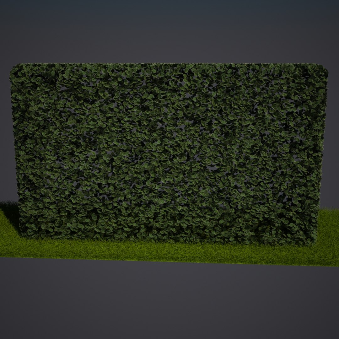 Max Hedge