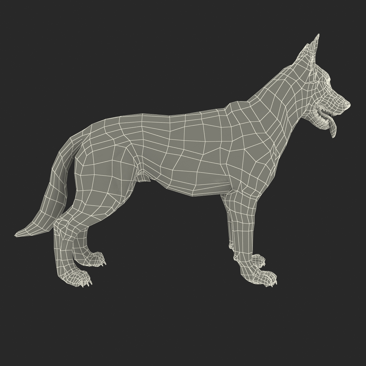 3dsmax white shepherd dog
