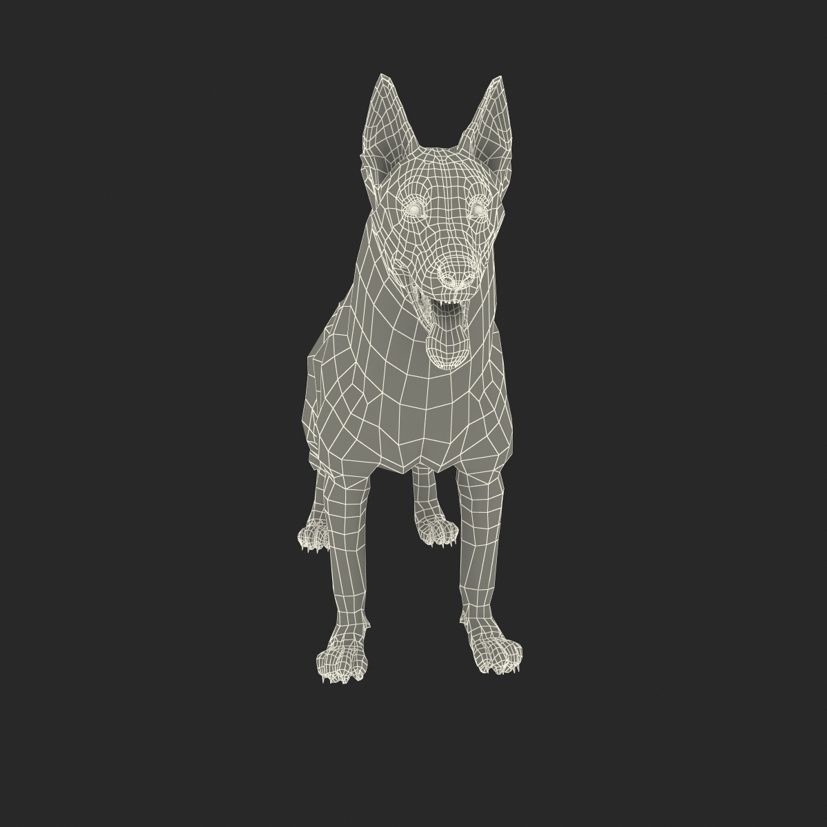 3dsmax white shepherd dog