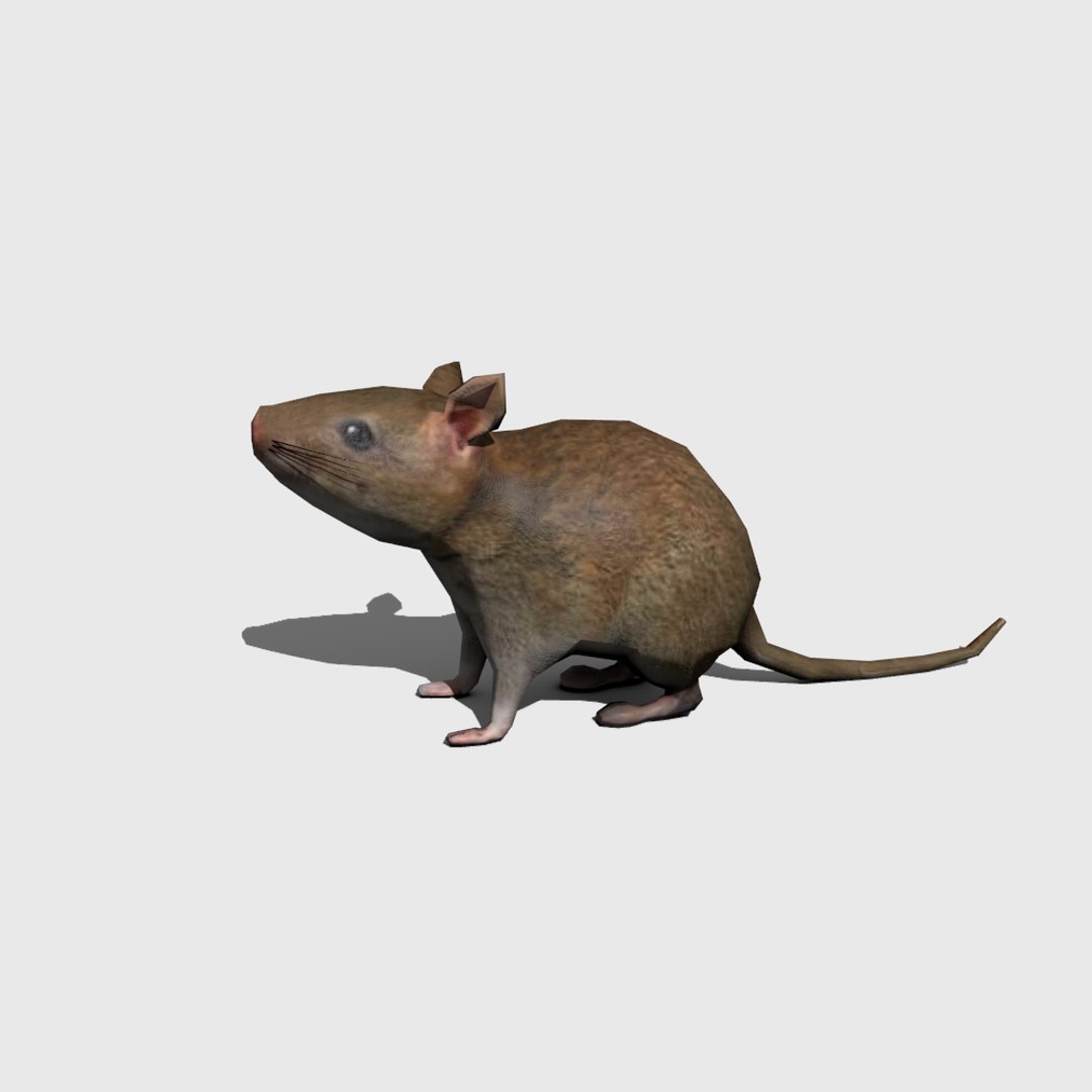 3d Obj Rat