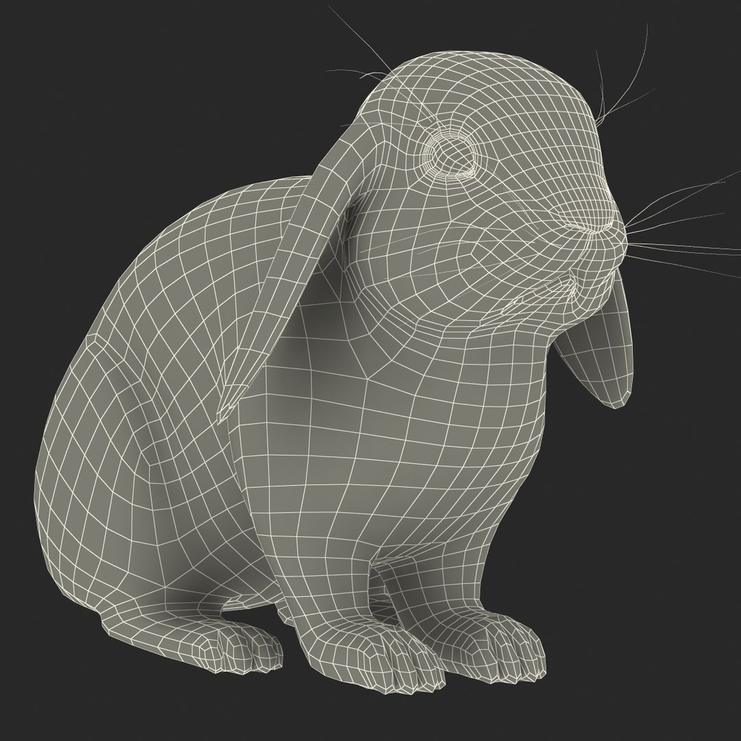 3d Rabbit Grey