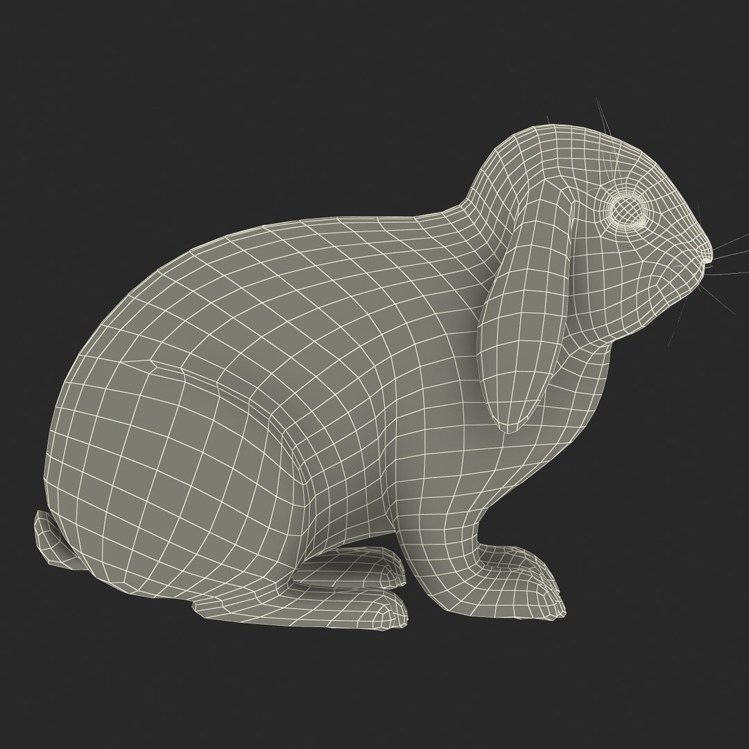 3d Rabbit Grey