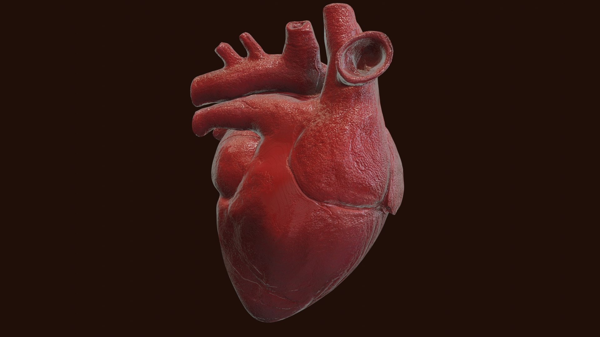 3D Realistic Animated Human Heart 3D Model - TurboSquid 2513904