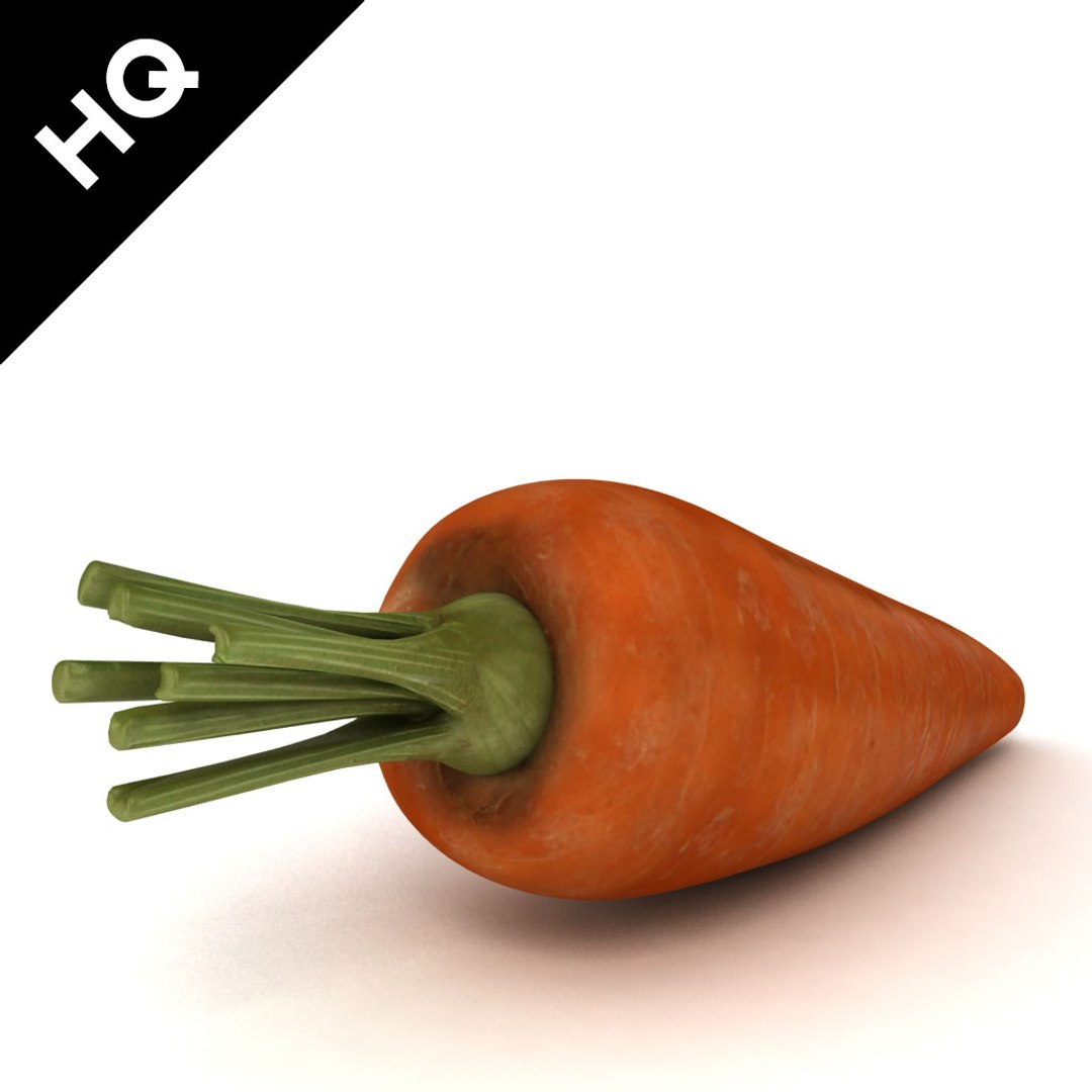 Carrot 3d Obj