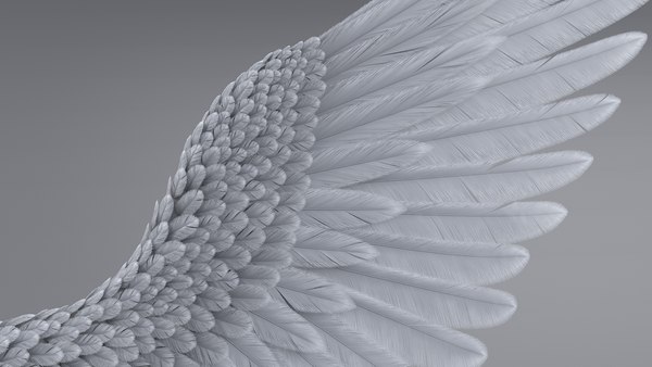 modelo 3d Alas de ángel blancas y negras - TurboSquid 2170580