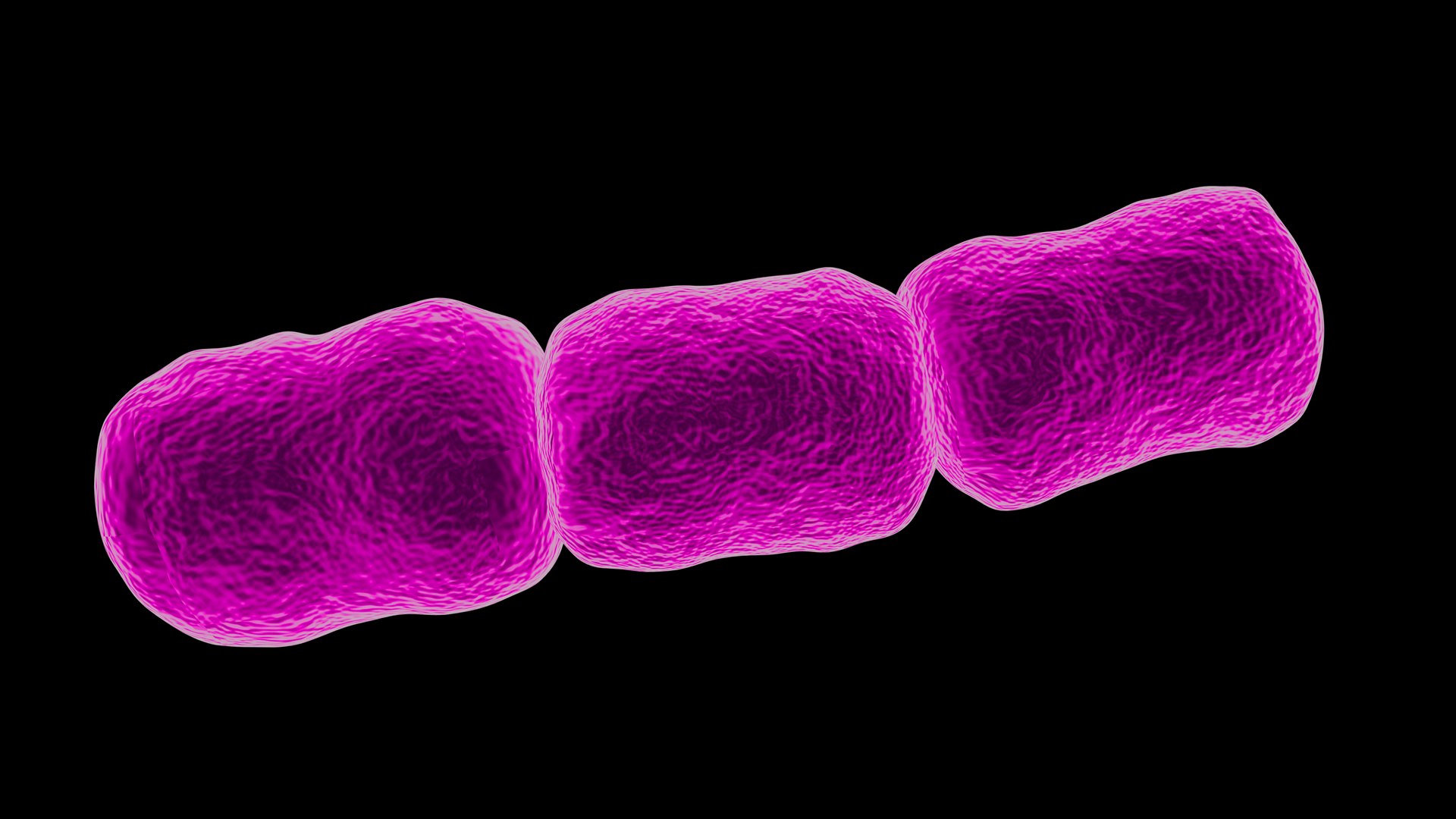 3D Model Streptococcus - TurboSquid 2223767