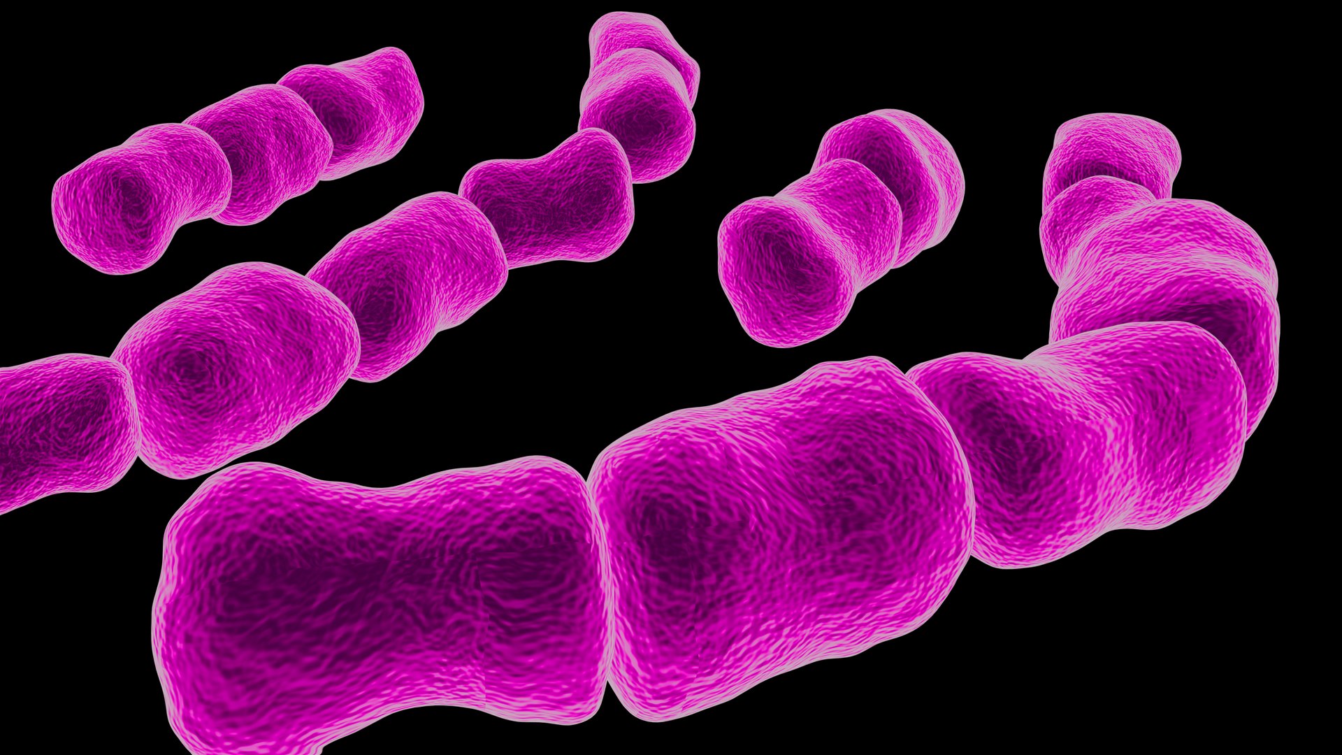 3D Model Streptococcus - TurboSquid 2223767