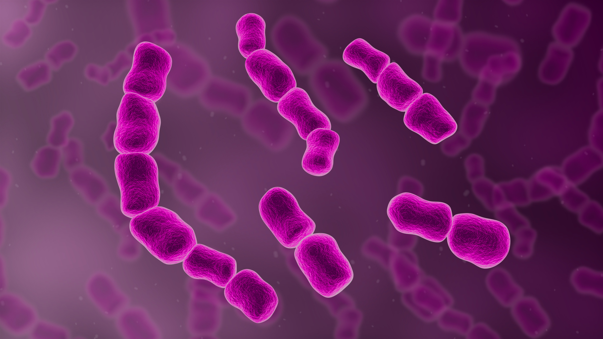 3D Model Streptococcus - TurboSquid 2223767