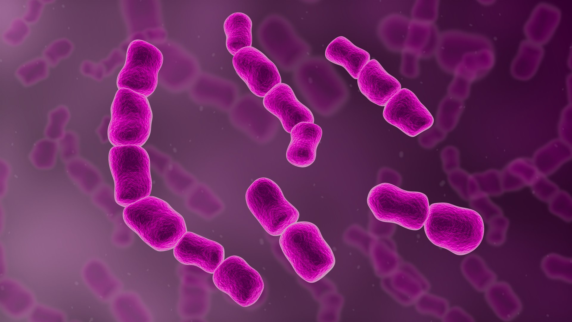 3D Model Streptococcus - TurboSquid 2223767