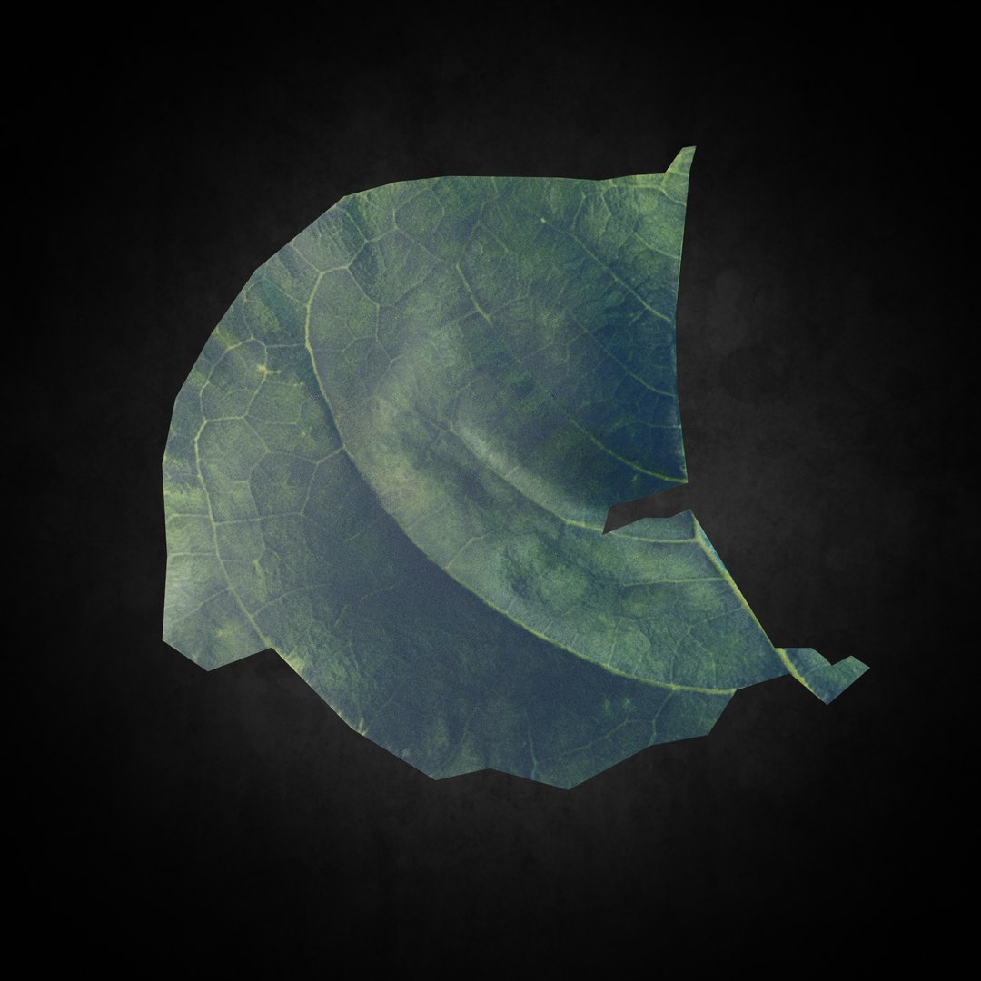 Leaf 3D Model - TurboSquid 1617752