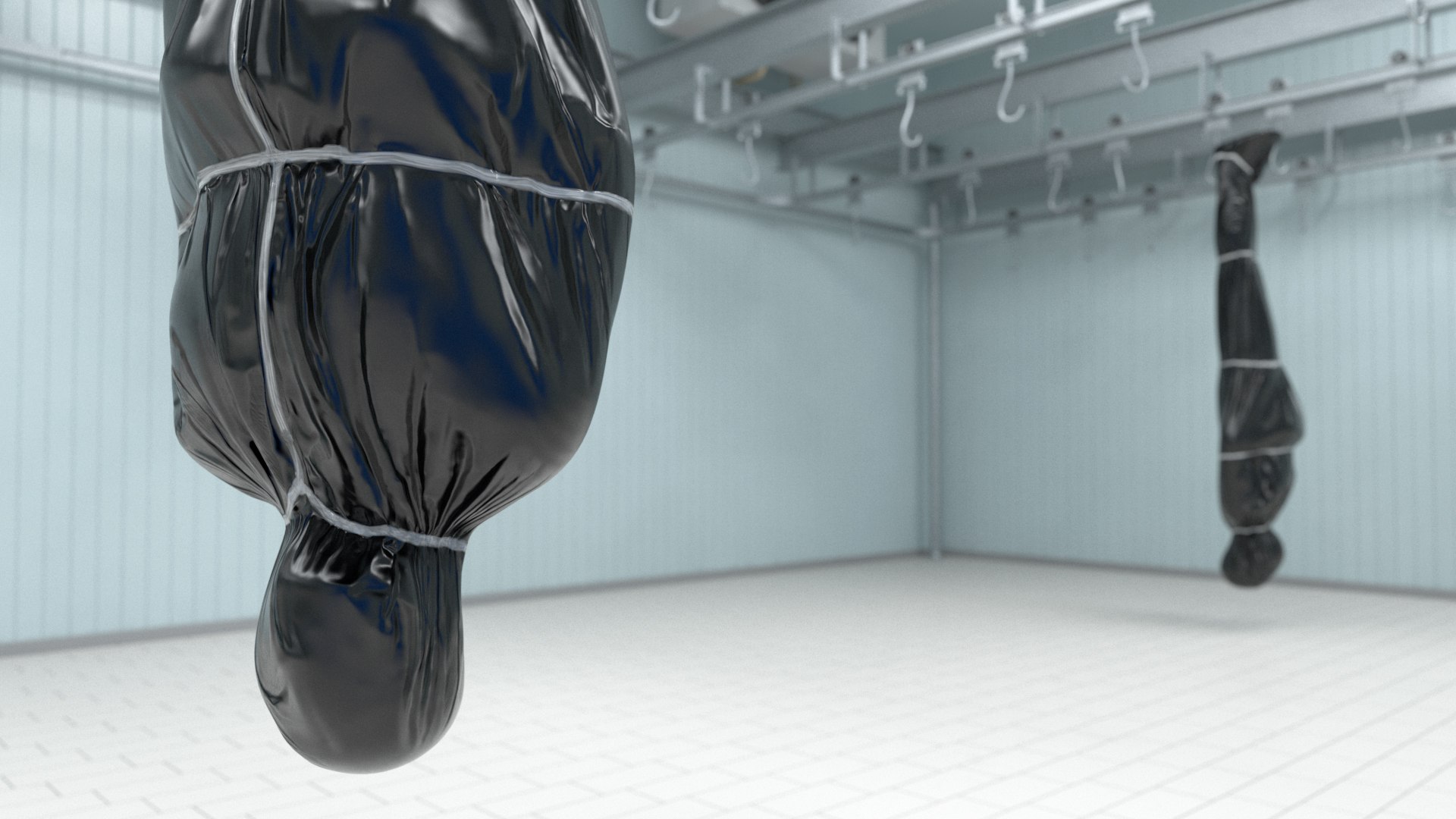 3D Cold Storage Unit With Hanging Bag For Cadaver - TurboSquid 2460079