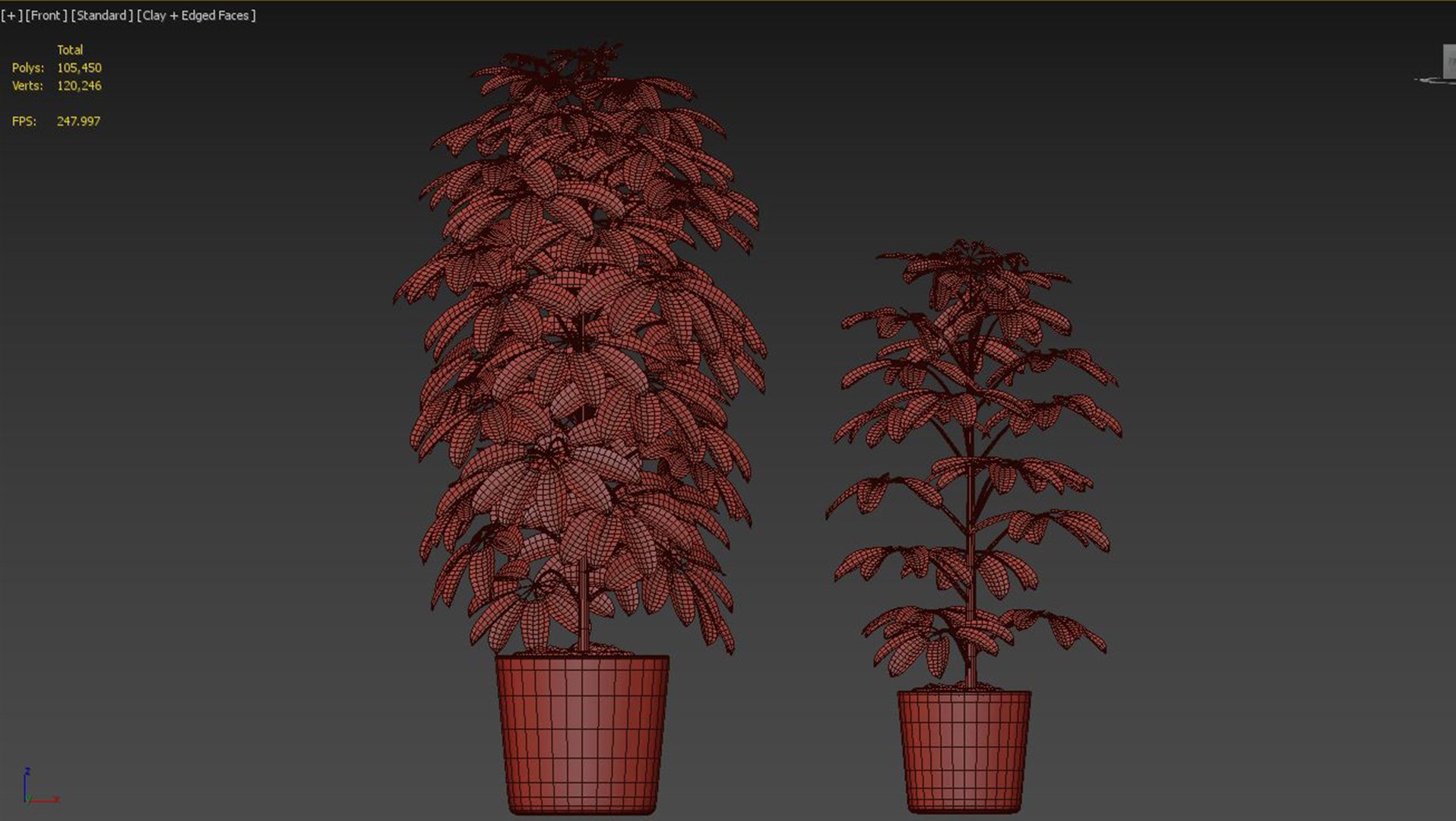 Schefflera Arboricola 3D model - TurboSquid 1981272