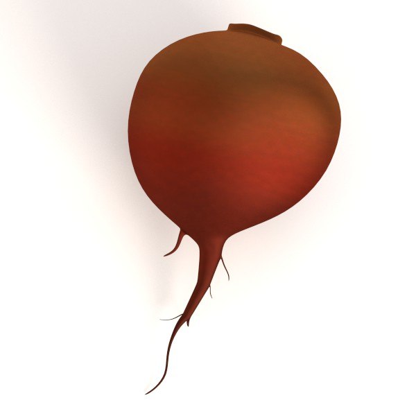 Beet 3D Models for Download | TurboSquid