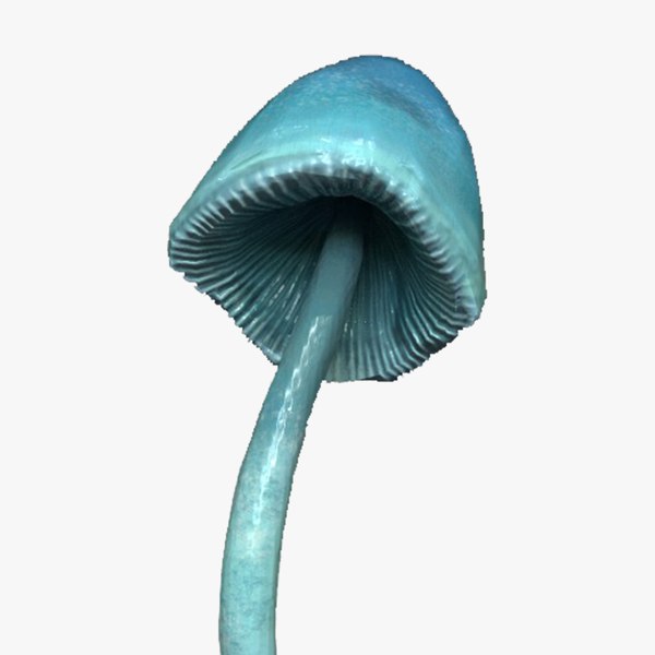 3D Blue Mushroom - TurboSquid 1981230