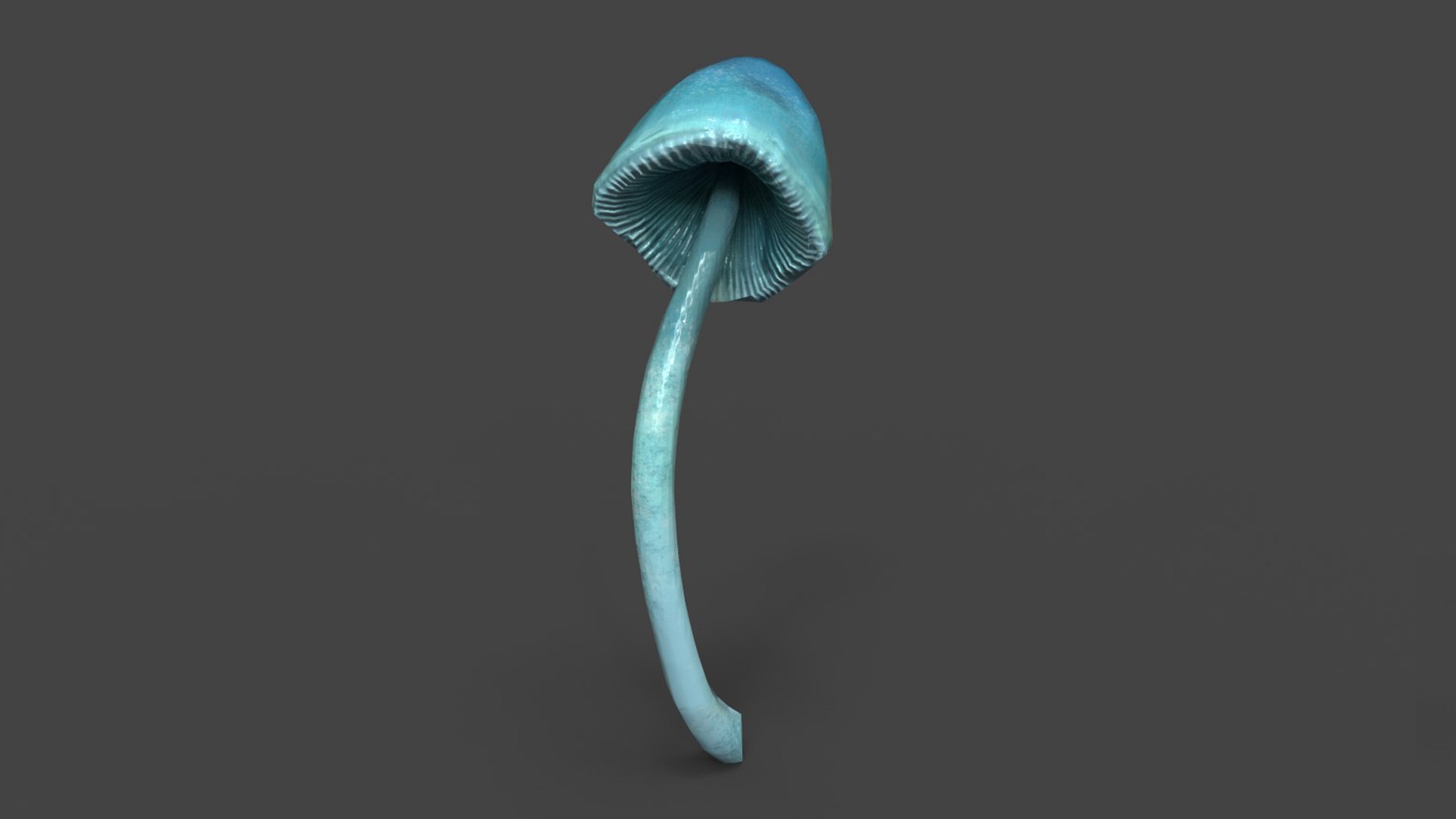 3D Blue Mushroom - TurboSquid 1981230