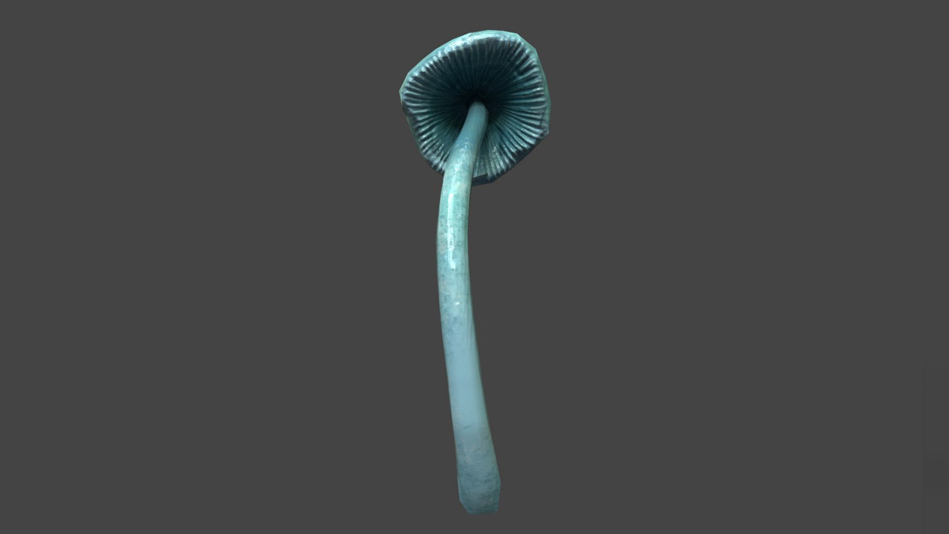 3D Blue Mushroom - TurboSquid 1981230