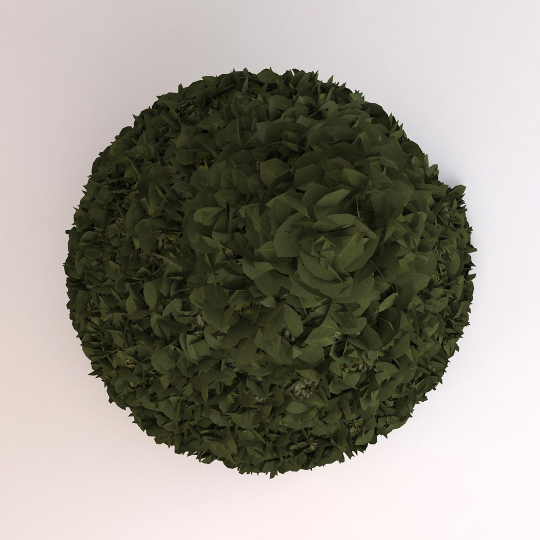 Spiral Hedge Topiary Max