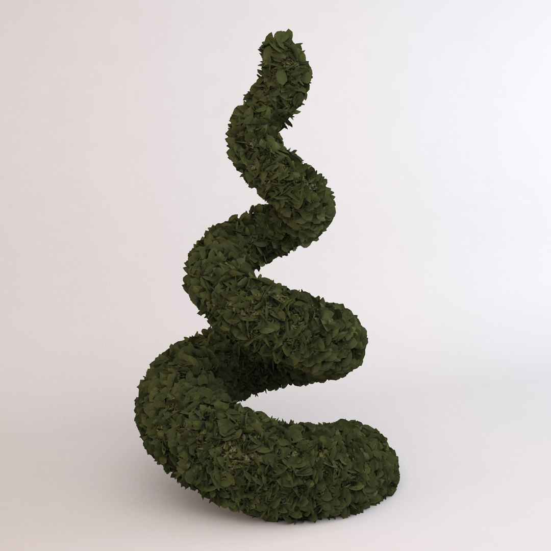 Spiral Hedge Topiary Max