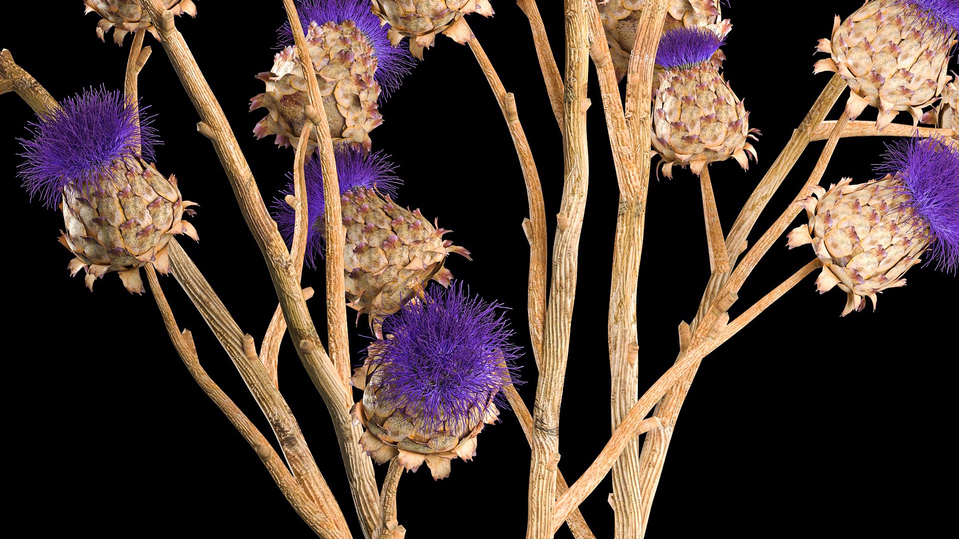3D Beautiful bouquet of thistle dried flowers in a glass vase 291 model ...
