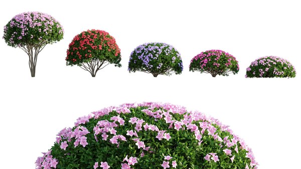 Bundle 06 - Japanese garden 3D model - TurboSquid 1734368