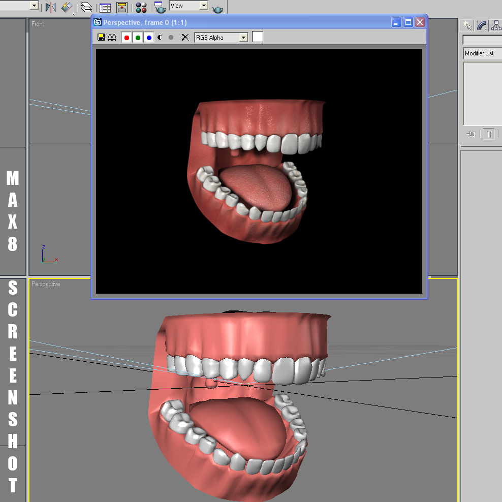 Anatomia Dentária Modelo 3D - TurboSquid 556078