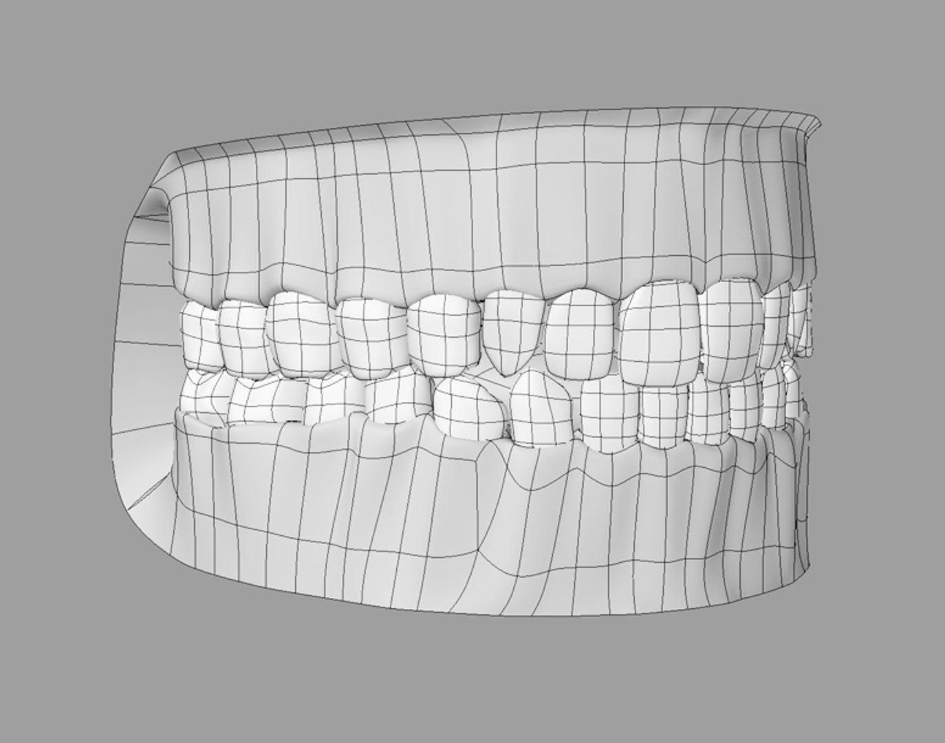 3d Dental Anatomy