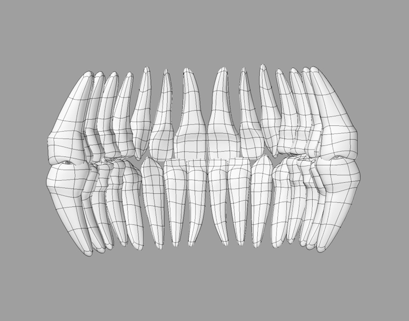 3d Dental Anatomy