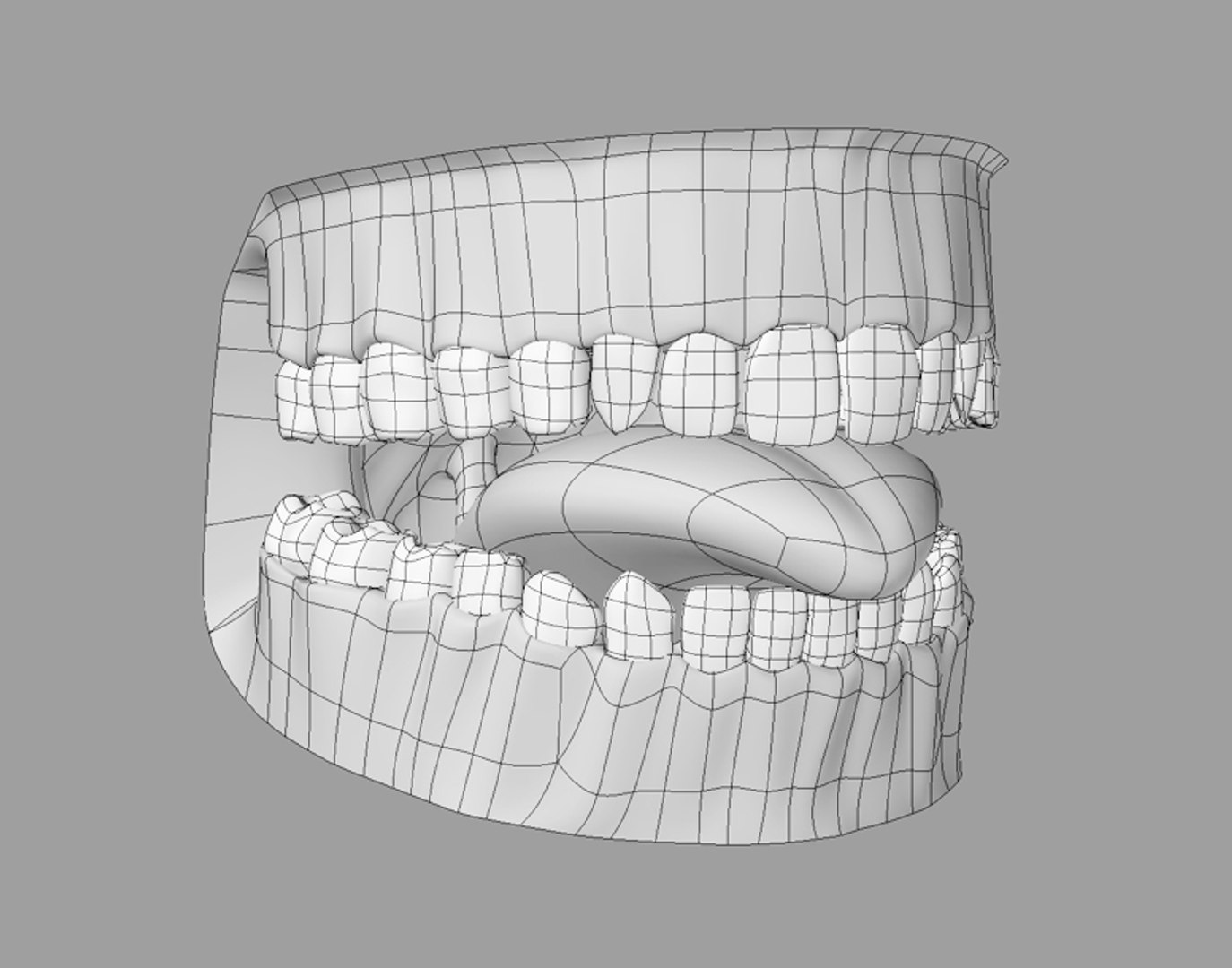 3d Dental Anatomy