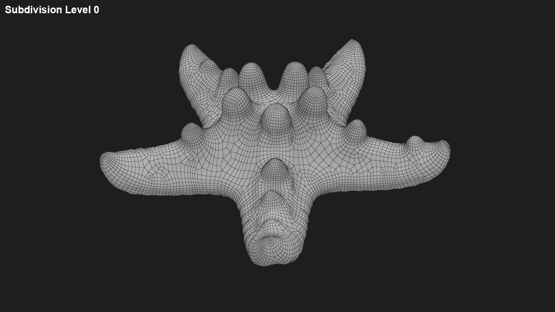 Sea Star 2 3D Model - TurboSquid 2290976