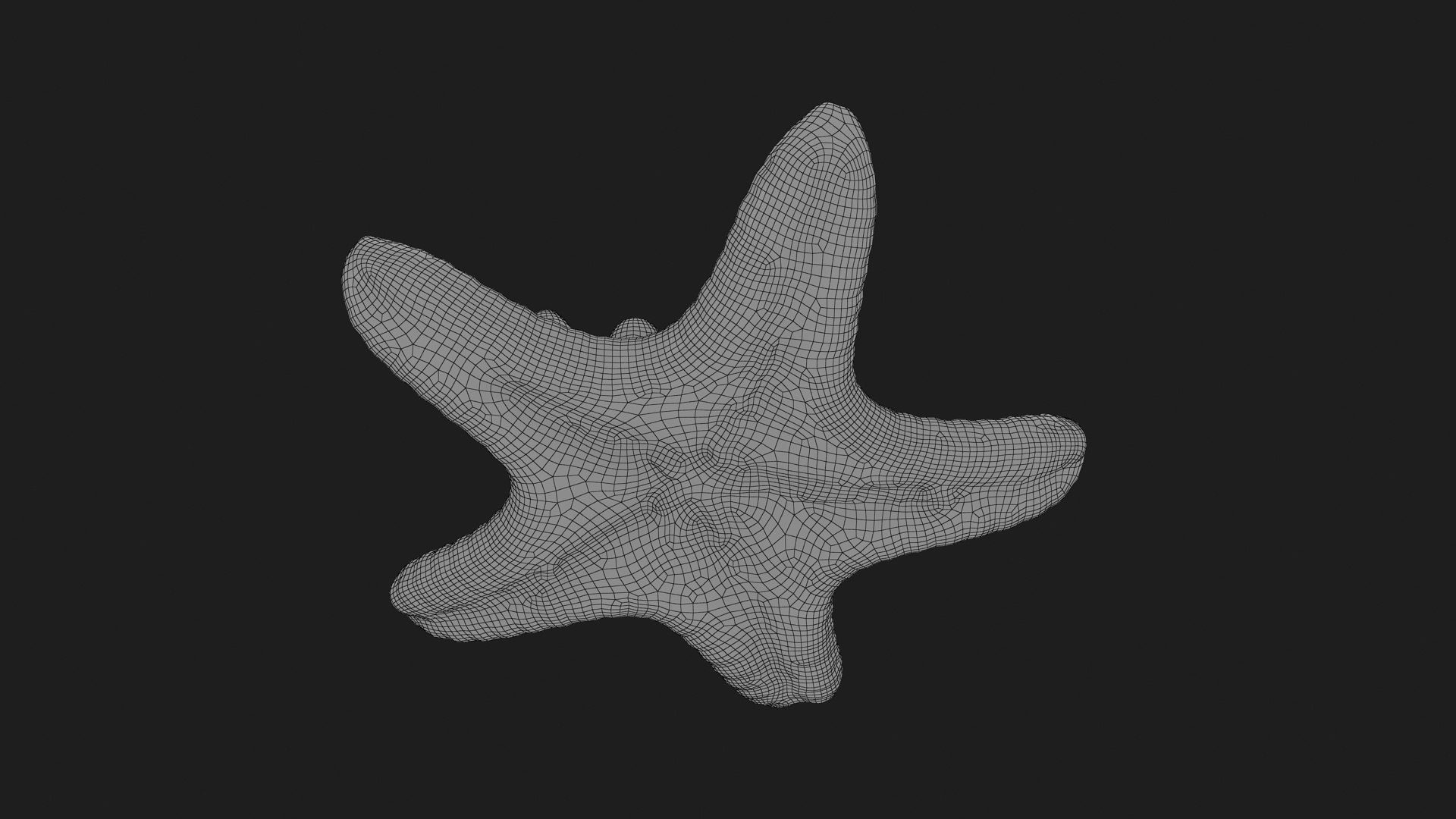Sea Star 2 3D Model - TurboSquid 2290976