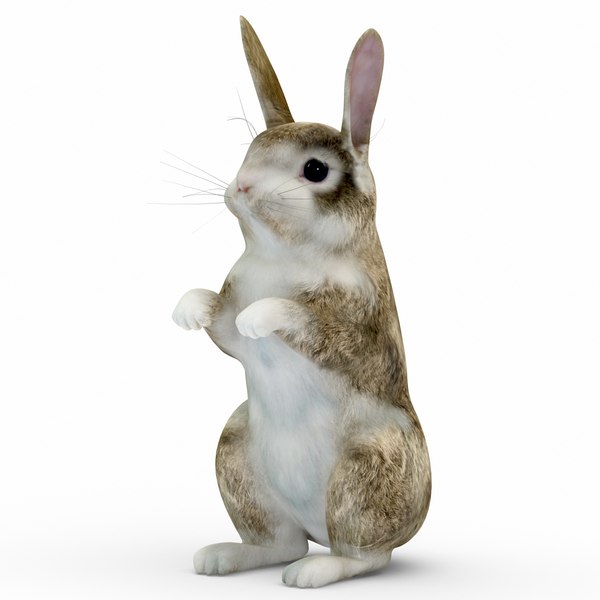 rabbit v2 3d model