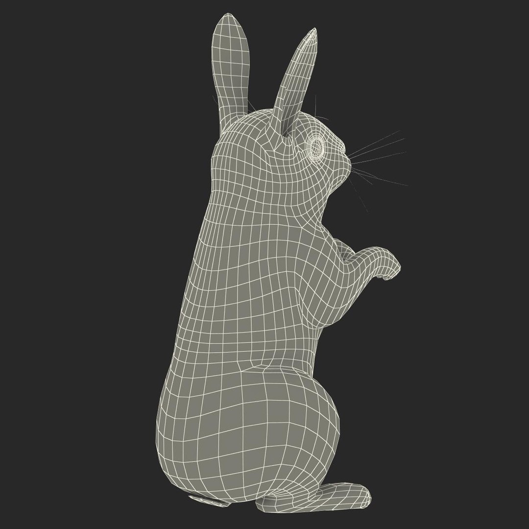Rabbit V2 3d Model