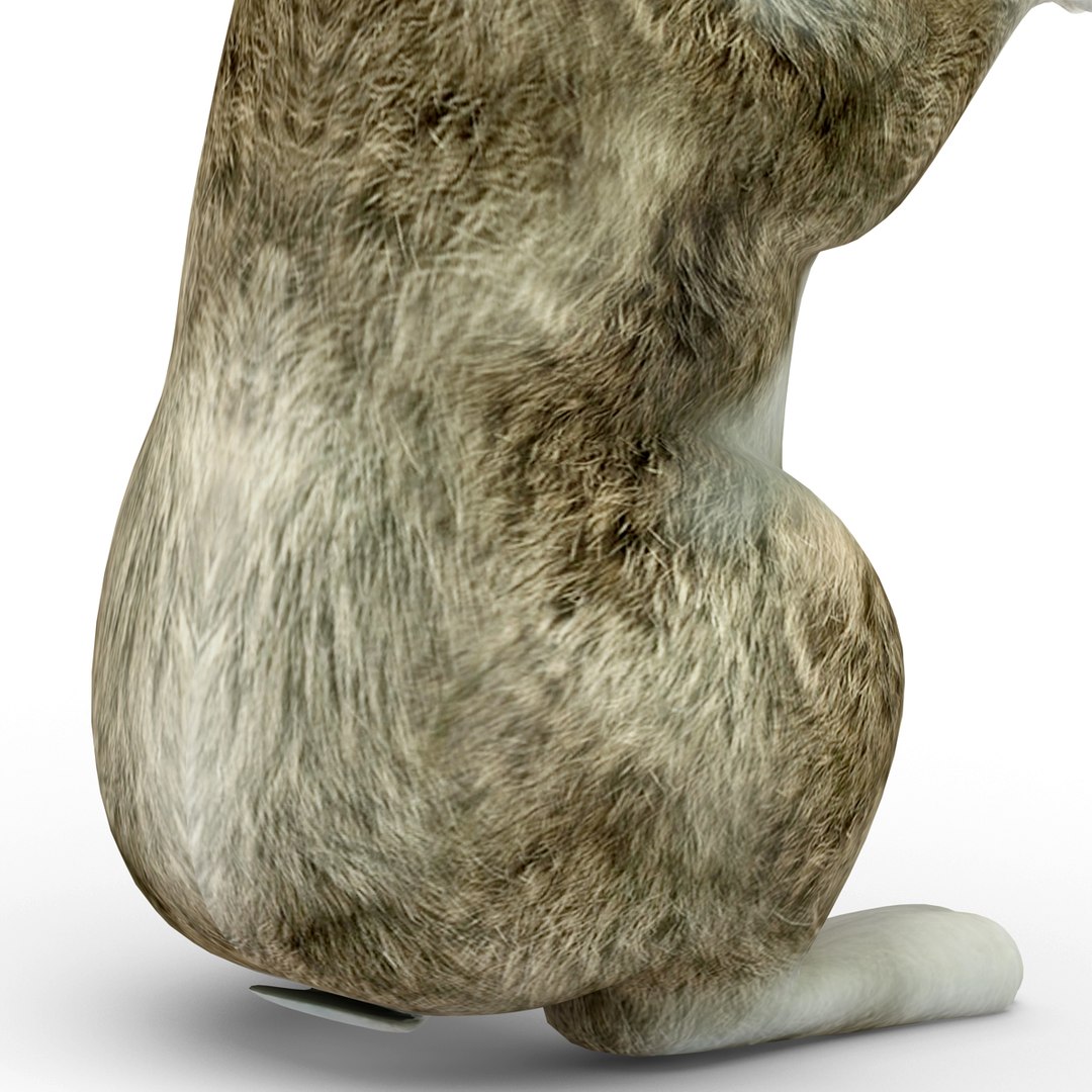 Rabbit V2 3d Model