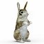 Rabbit V2 3d Model