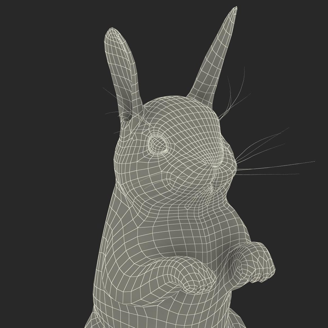 Rabbit V2 3d Model