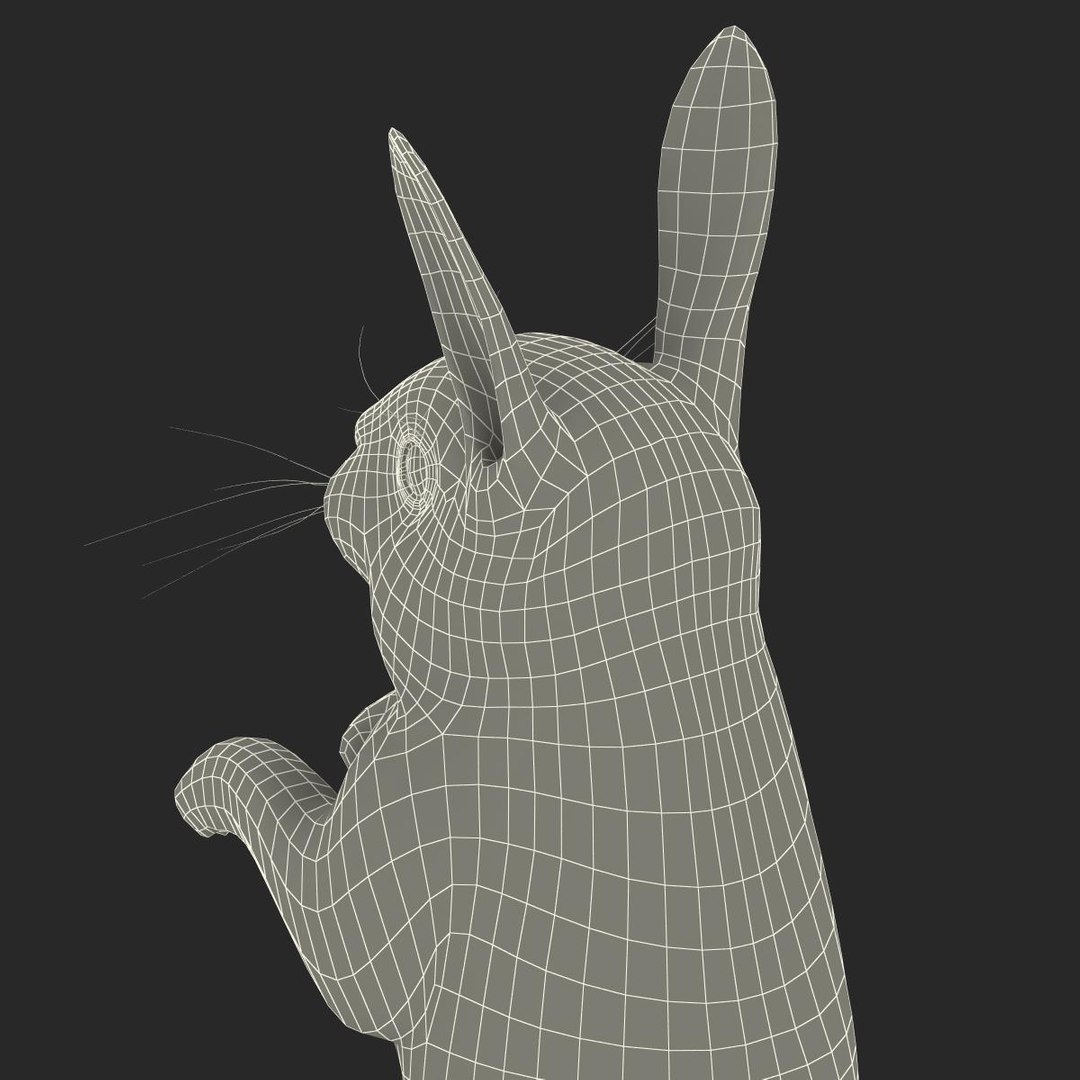 Rabbit V2 3d Model