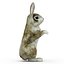 Rabbit V2 3d Model