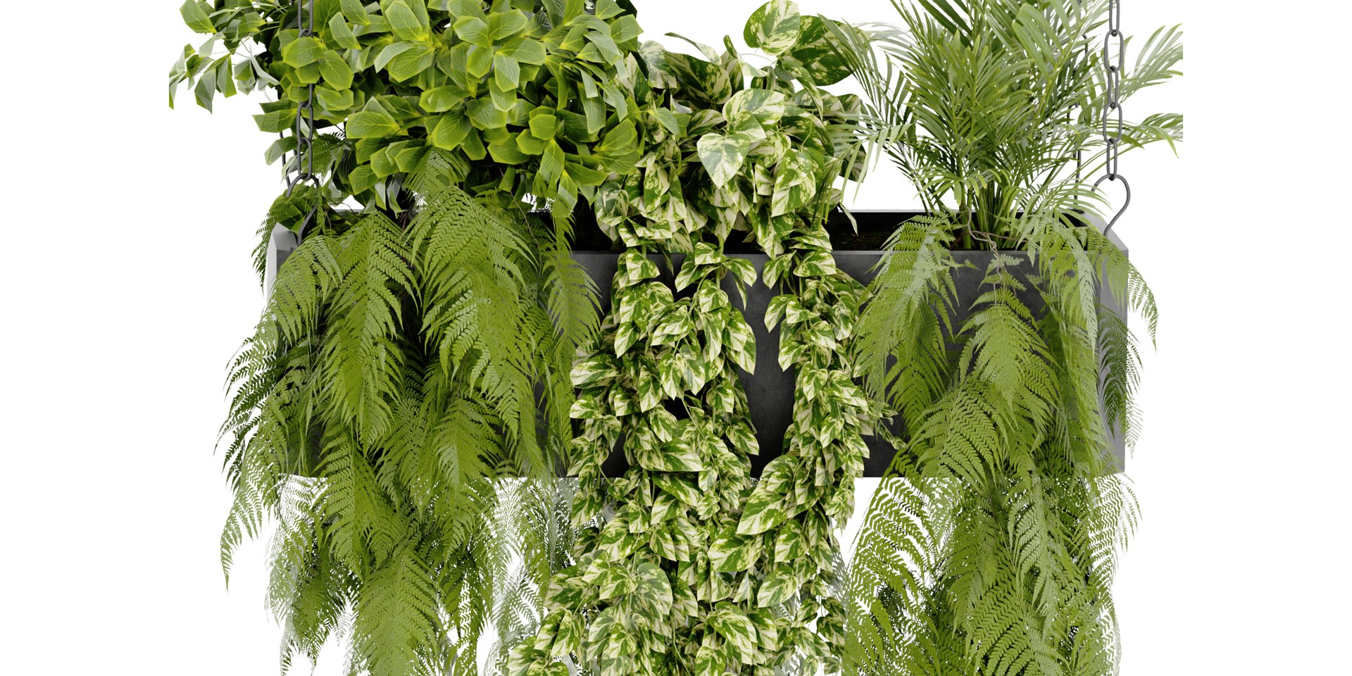 3D Collection Plant Vol 391 - Blender Model - TurboSquid 2095095