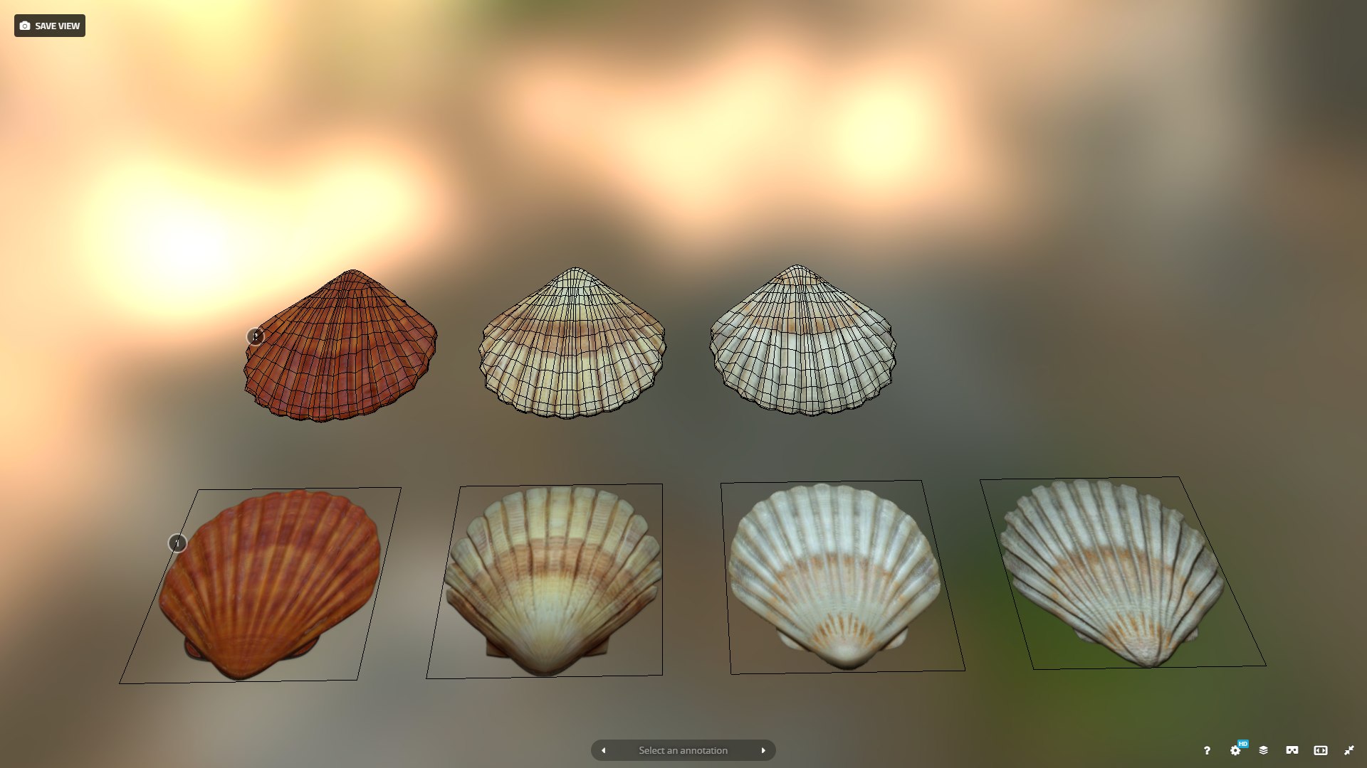 3D Mussel 01 - Triangle Mesh - Decal Model - TurboSquid 1784428