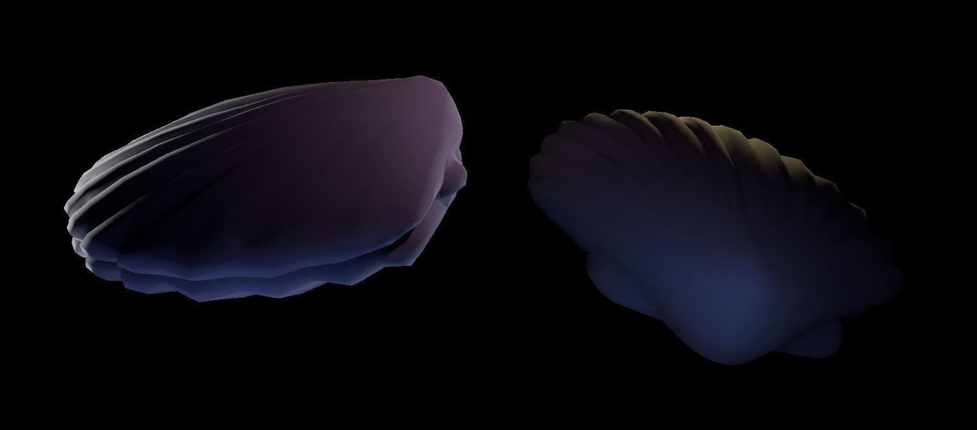 3D Mussel 01 - Triangle Mesh - Decal Model - TurboSquid 1784428