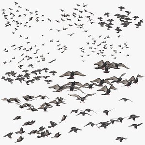 3D Flock Models - Browse & Download Formats - TurboSquid
